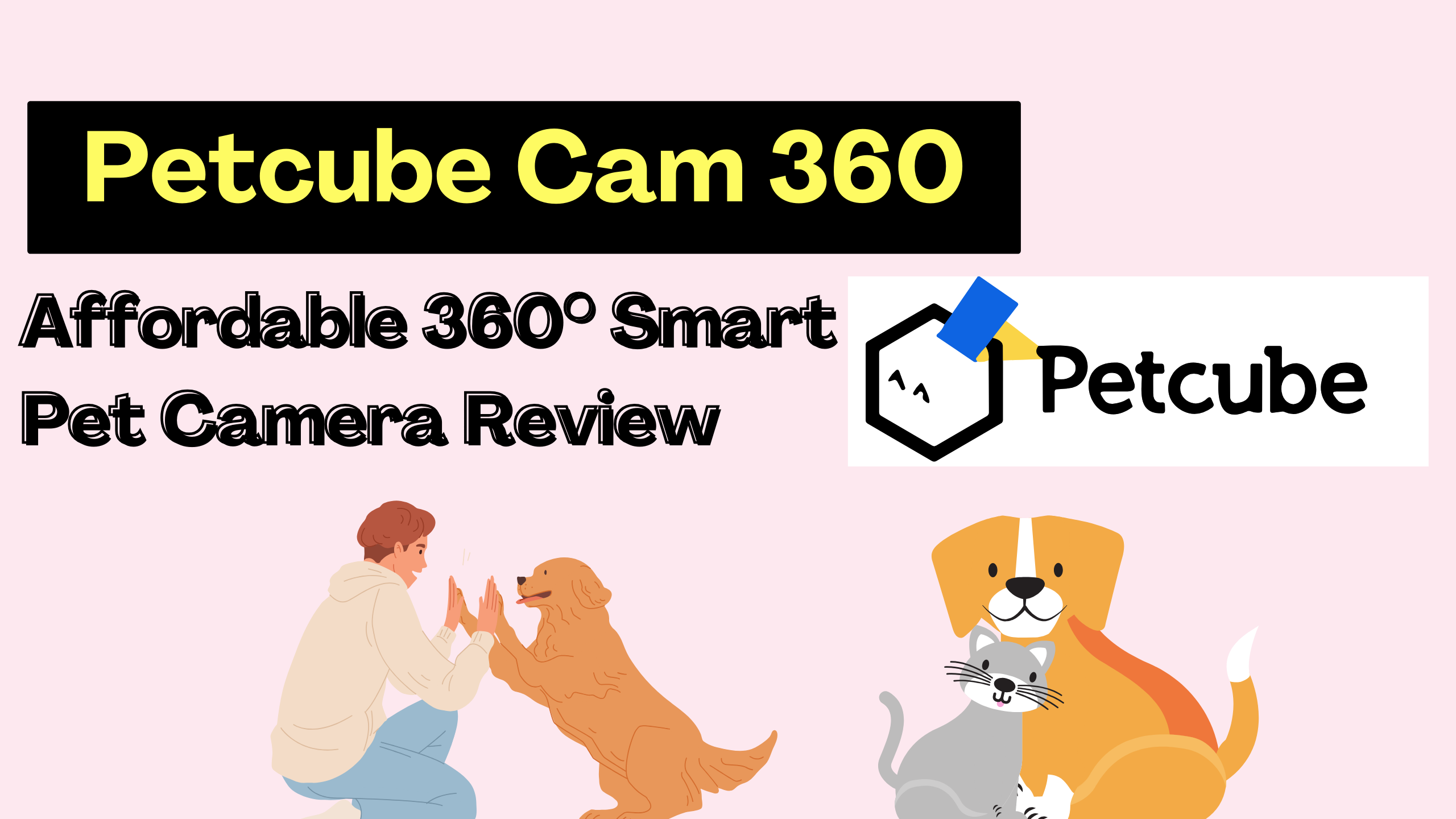 Petcube Cam 360: Affordable 360° Smart Pet Camera Review - Subscribed.FYI