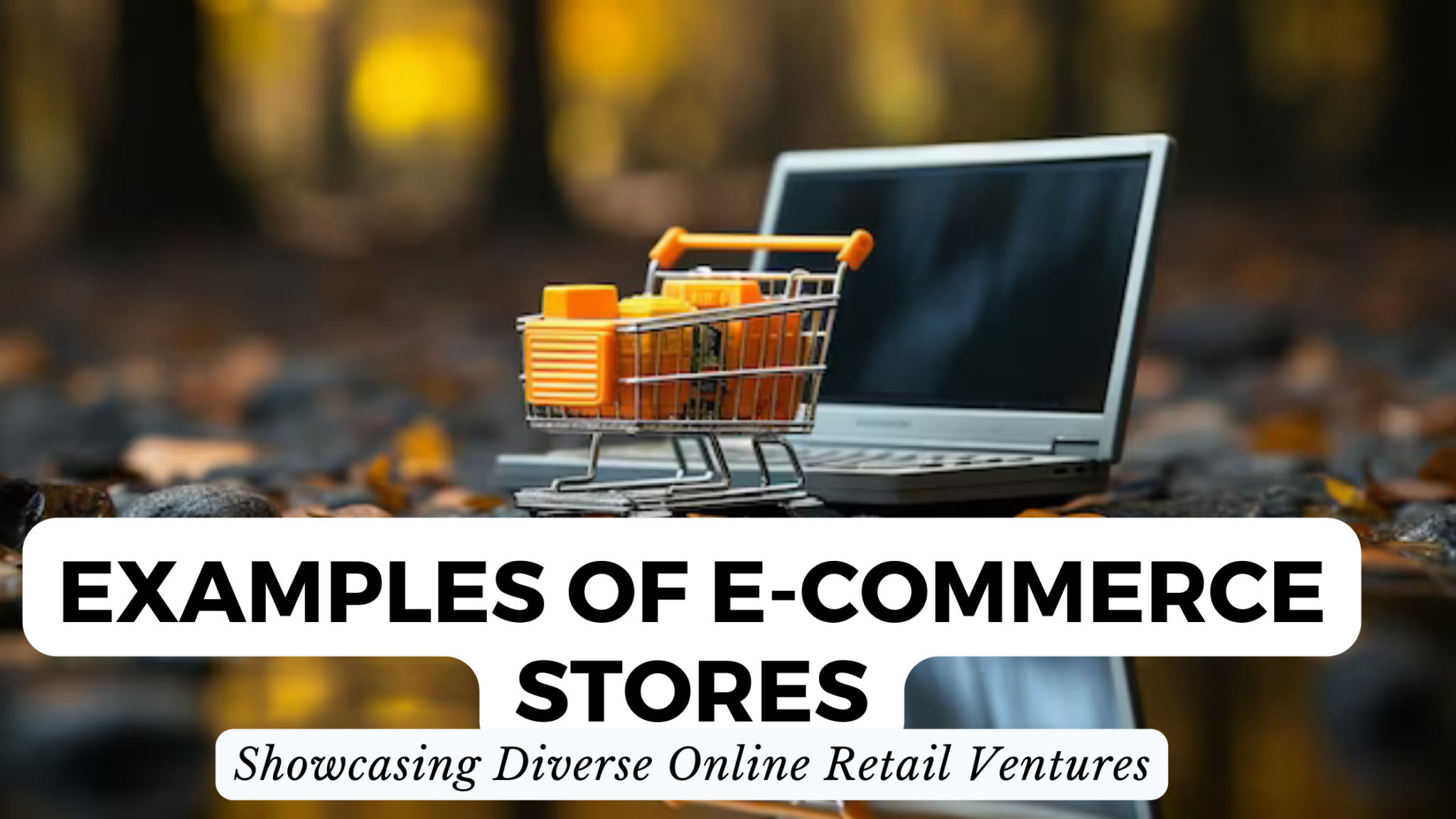 Examples of E-Commerce Stores: Showcasing Diverse Online Retail ...