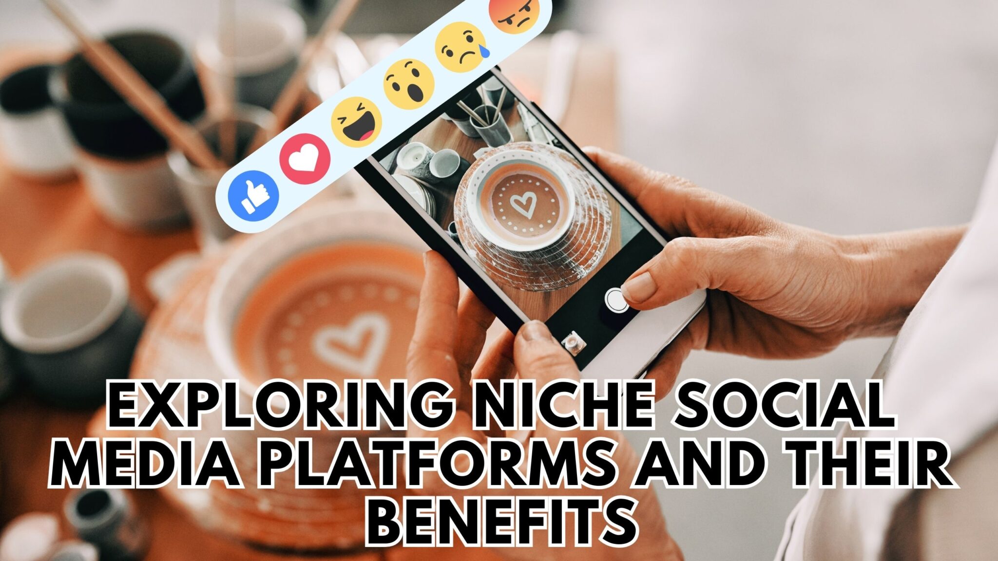 Exploring Niche Social Media Platforms and Their Benefits - Subscribed.FYI