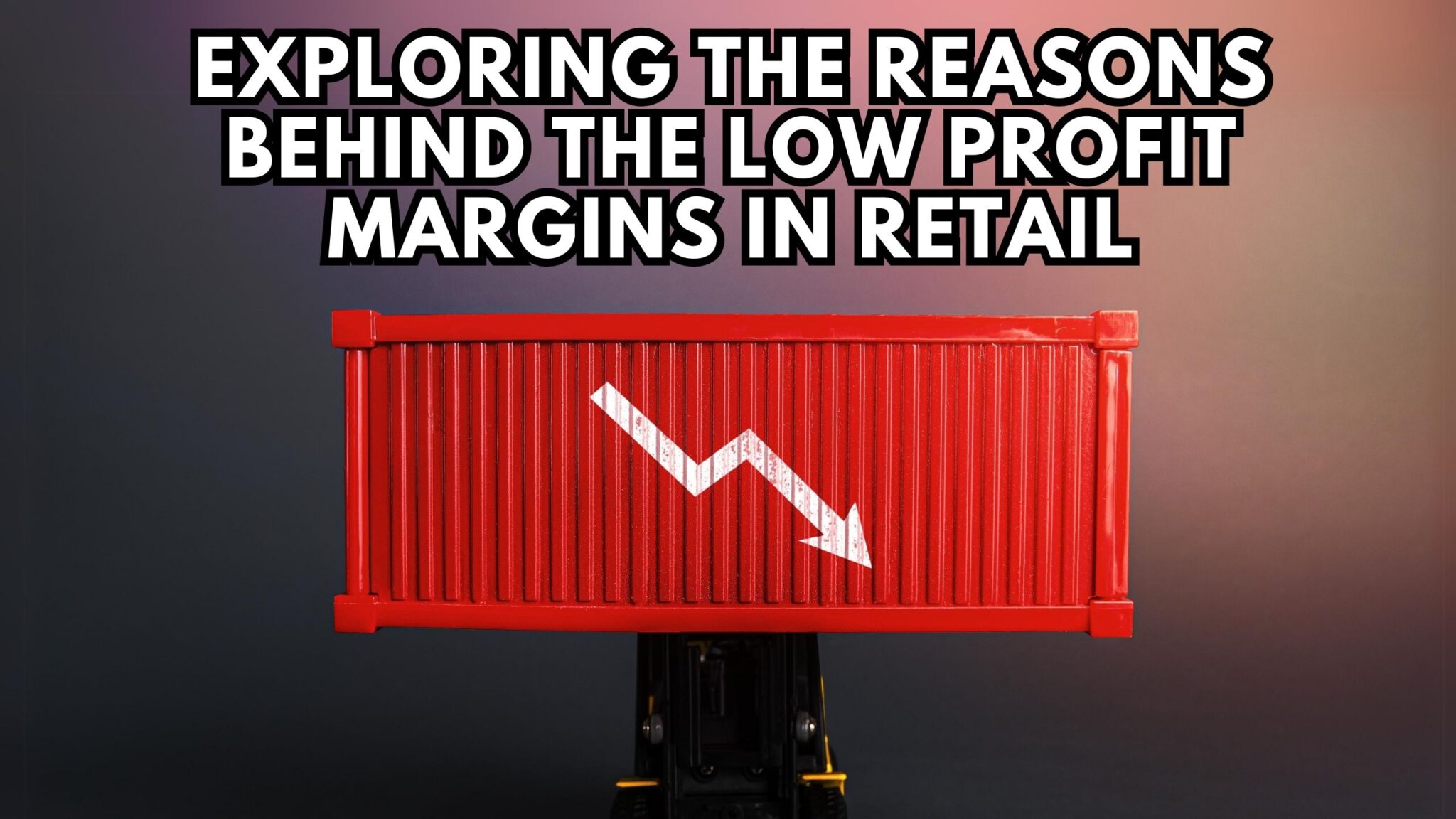 Exploring the Reasons Behind the Low Profit Margins in Retail ...
