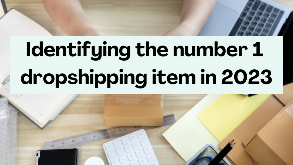 Identifying the number 1 dropshipping item in 2023 - Subscribed.FYI