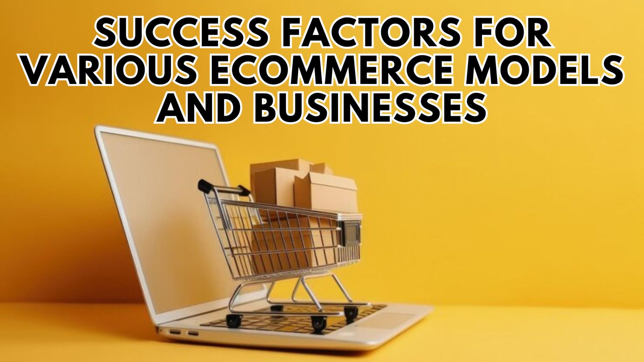 Success Factors for Various eCommerce Models and Businesses ...