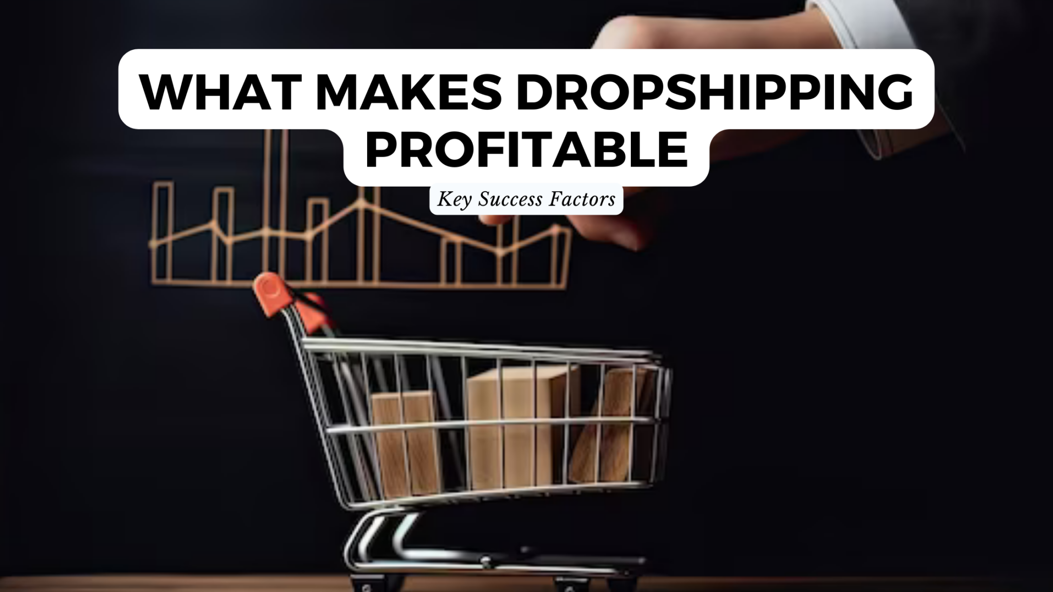 What Makes Dropshipping Profitable: Key Success Factors - Subscribed.FYI