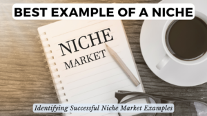 Best Example of a Niche: Identifying Successful Niche Market Examples ...