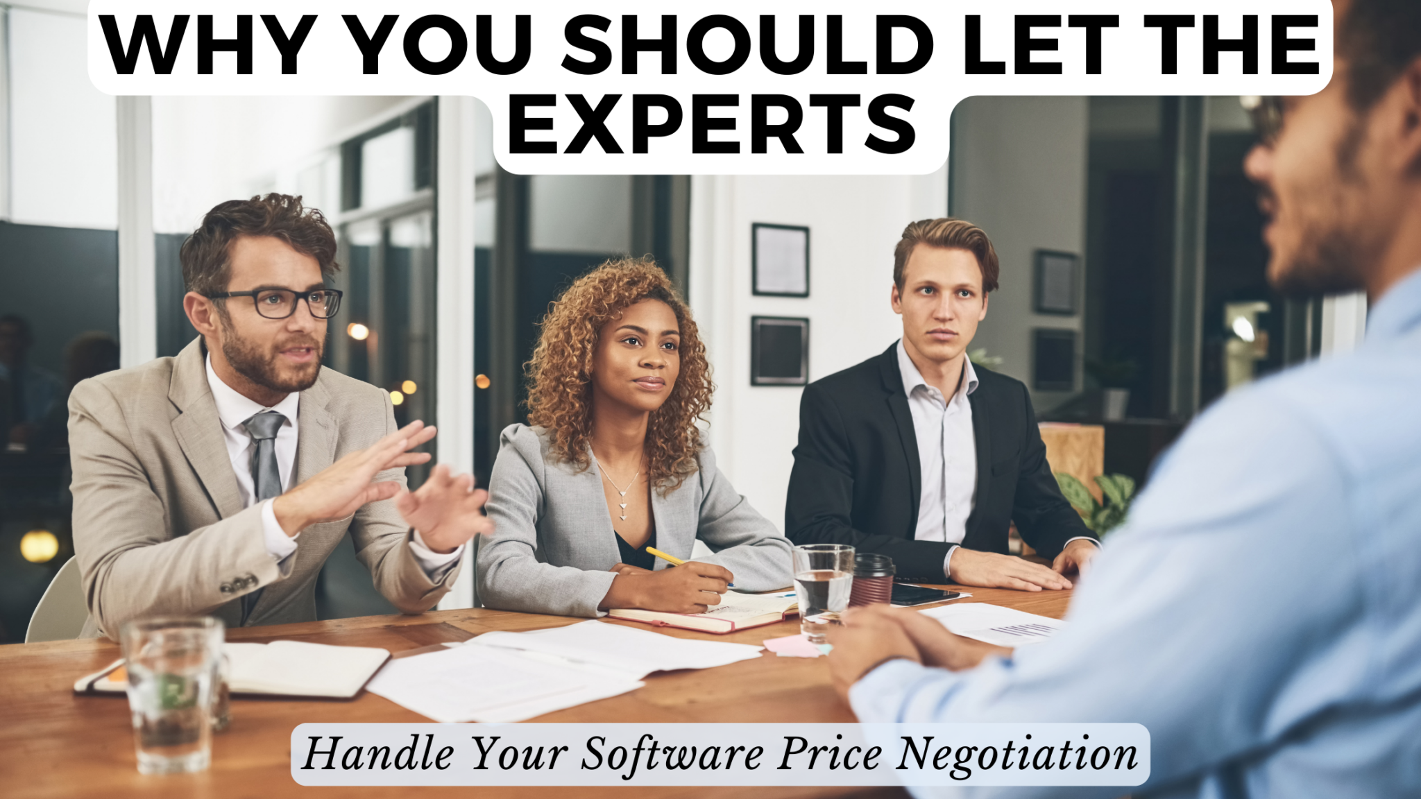 Why You Should Let the Experts Handle Your Software Price Negotiation ...