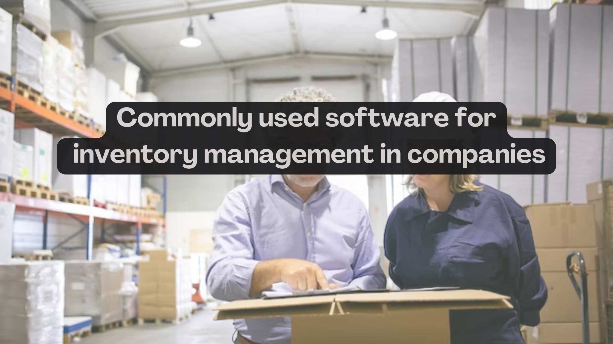 Commonly used software for inventory management in companies ...