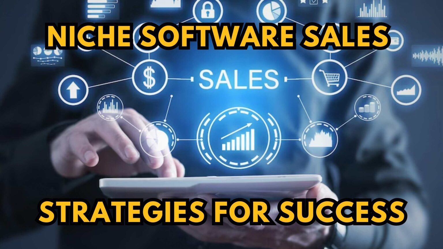 Niche Software Sales: Strategies for Success - Subscribed.FYI