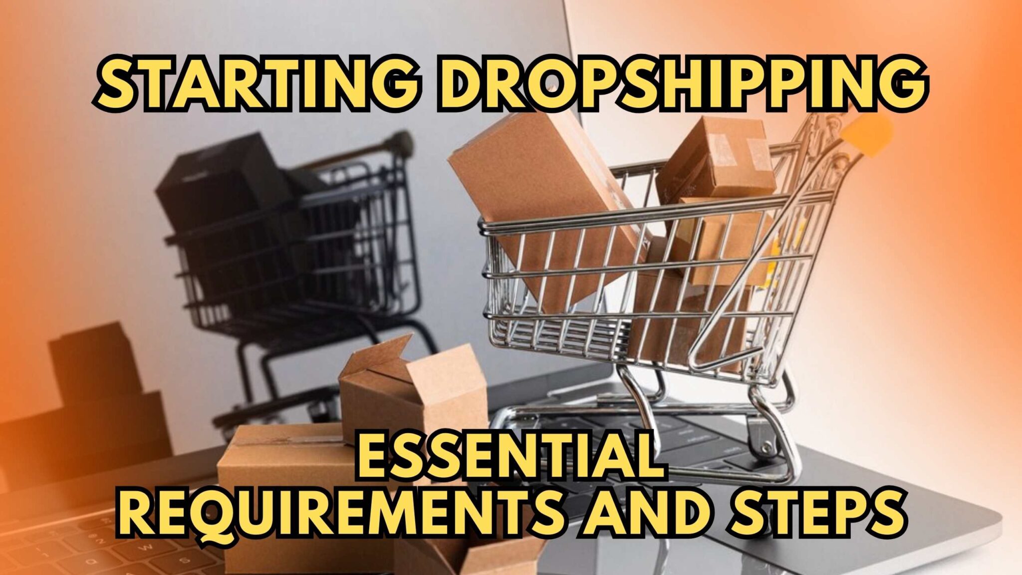 Starting Dropshipping: Essential Requirements and Steps - Subscribed.FYI