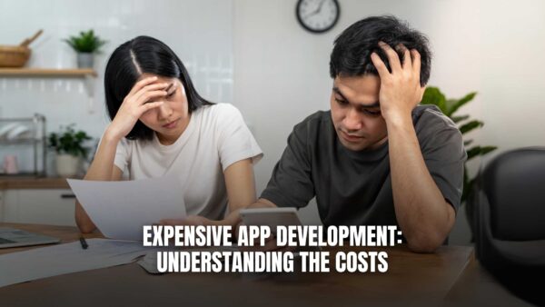 Expensive App Development: Understanding the Costs - Subscribed.FYI