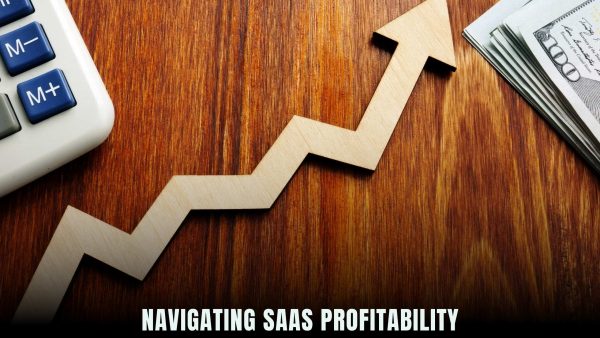 SaaS Profitability Timeline: Understanding Growth - Subscribed.FYI